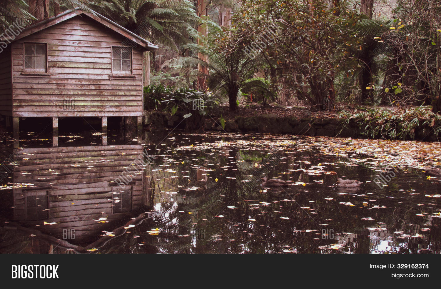 An Eerie Looking Empty Boat Shack Surrounded By Trees And Ferns With ...
