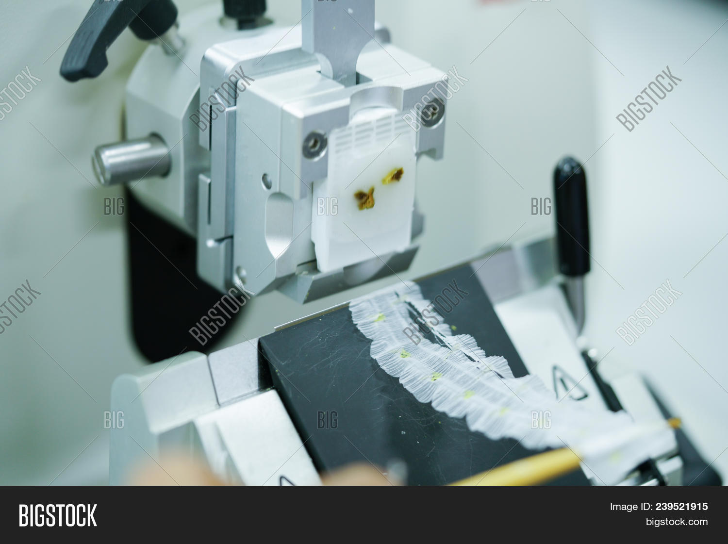 Rotary Microtome Section For Diagnosis In Pathology Make Microscope ...