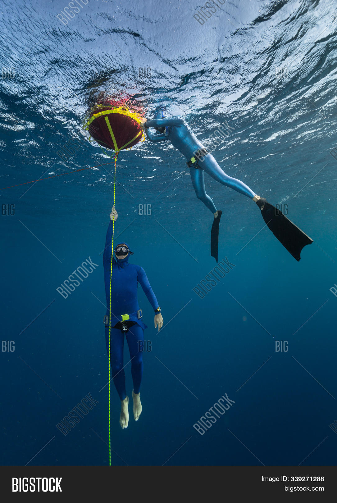 Freediver ascends along the rope from the depth while another freediver ...