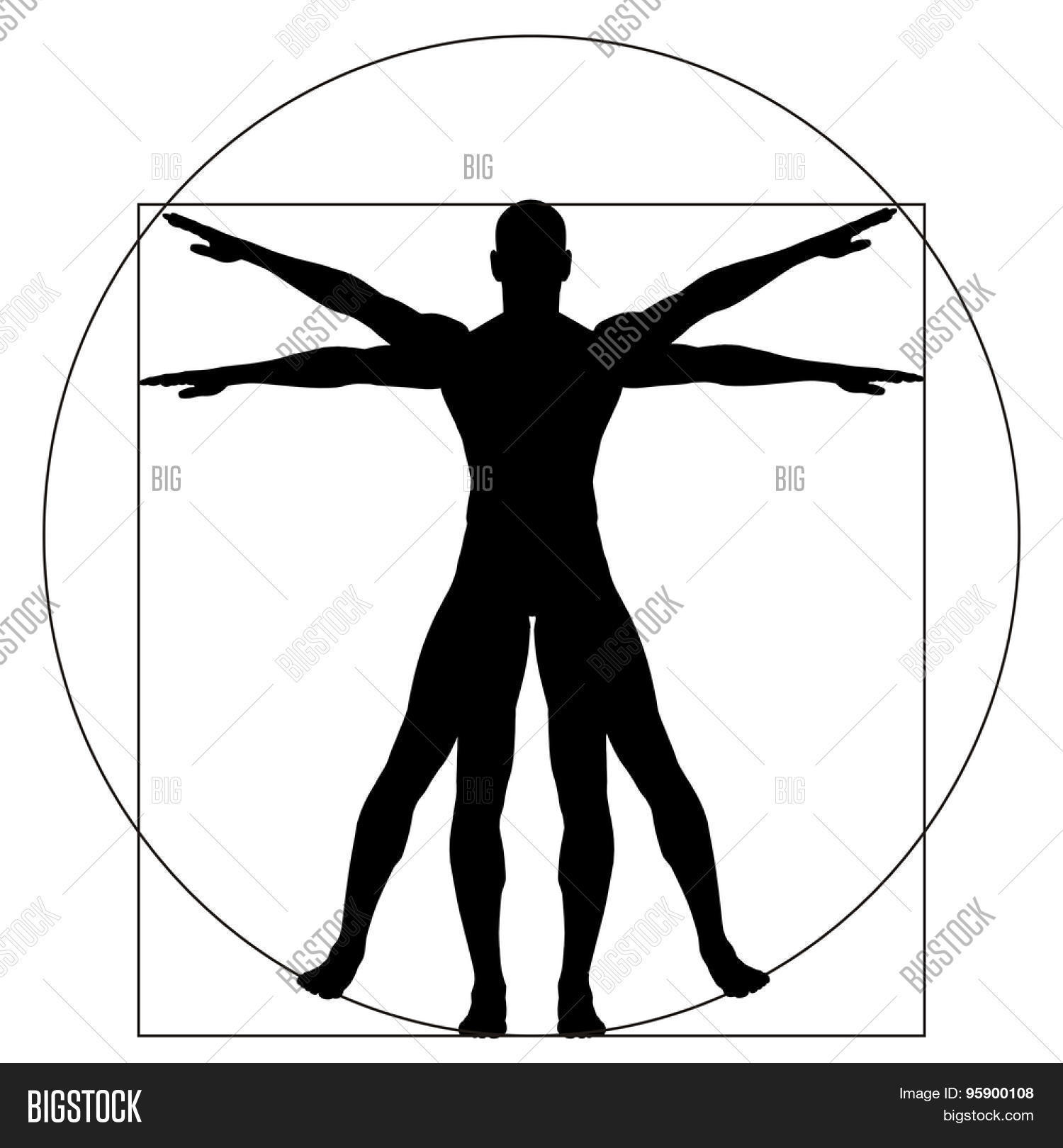 Vitruvian human or man as a concept, metaphor conceptual 3d proportion ...