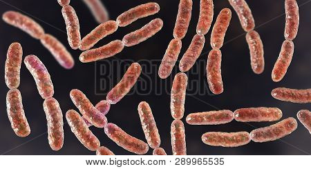 Bacteria Lactobacillus, 3d Illustration. Normal Flora Of Small ...